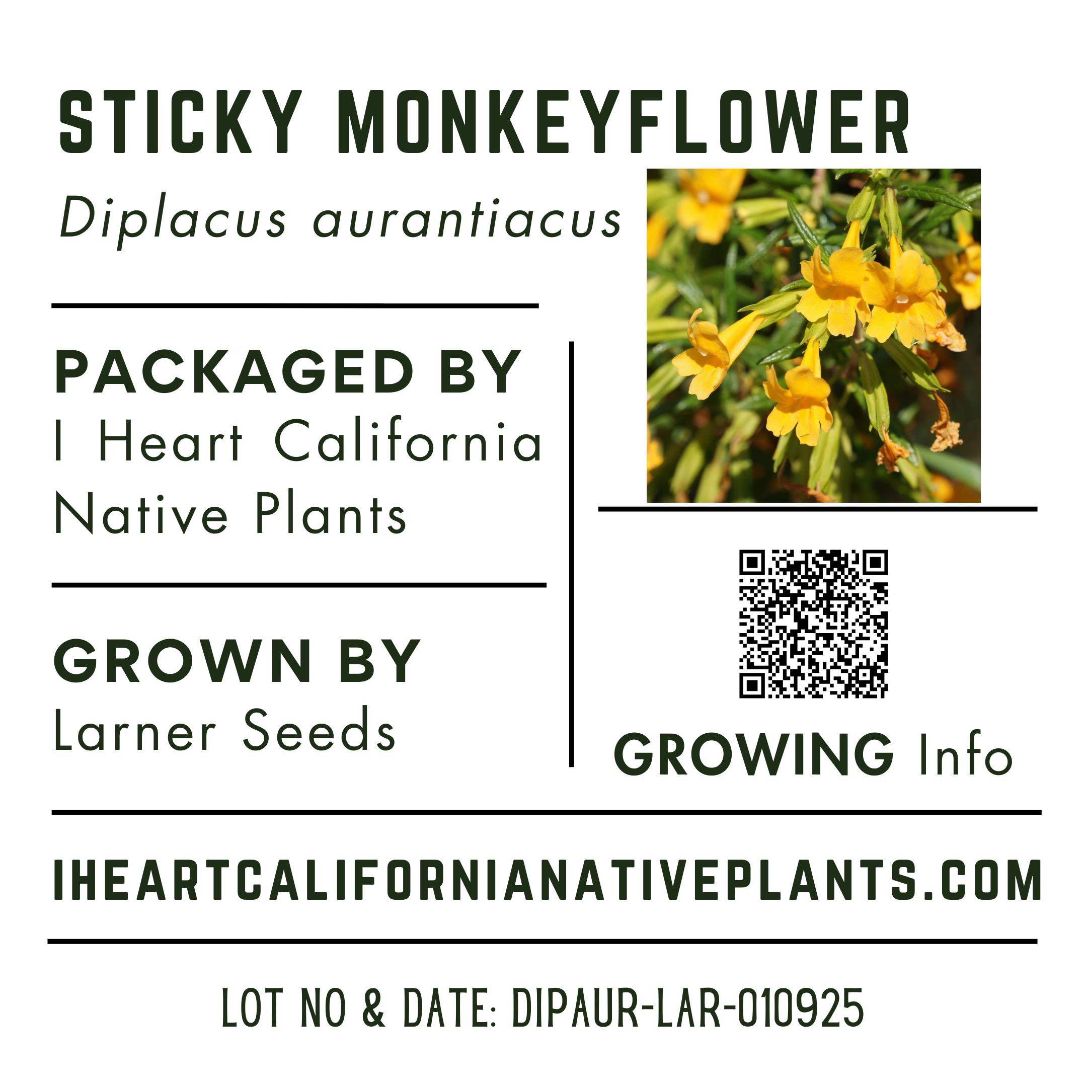 Diplacus aurantiacus - Sticky monkeyflower – I Heart California Native ...
